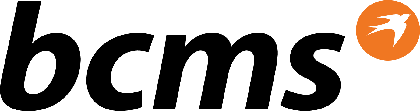 BCMS Company Sale Primer