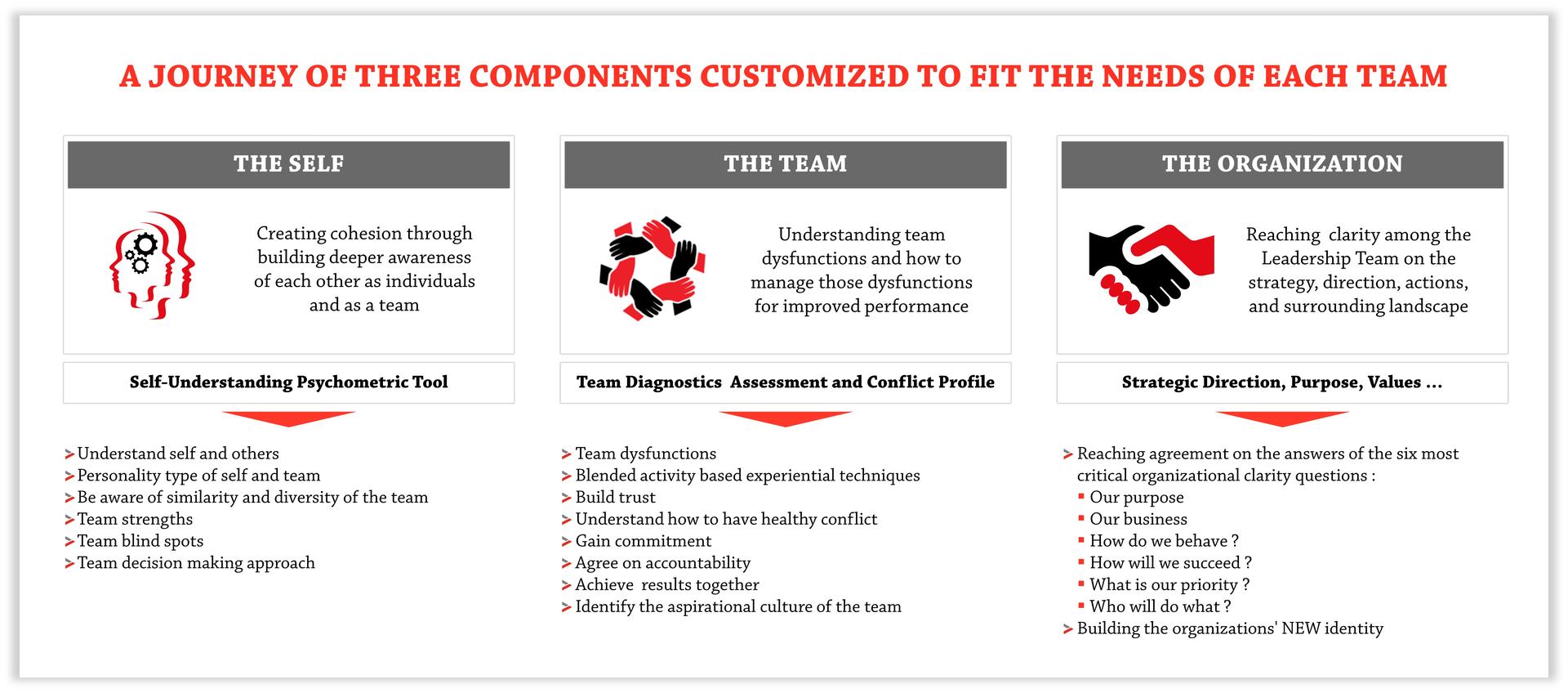 Leadership Team Cohesion and Alignment